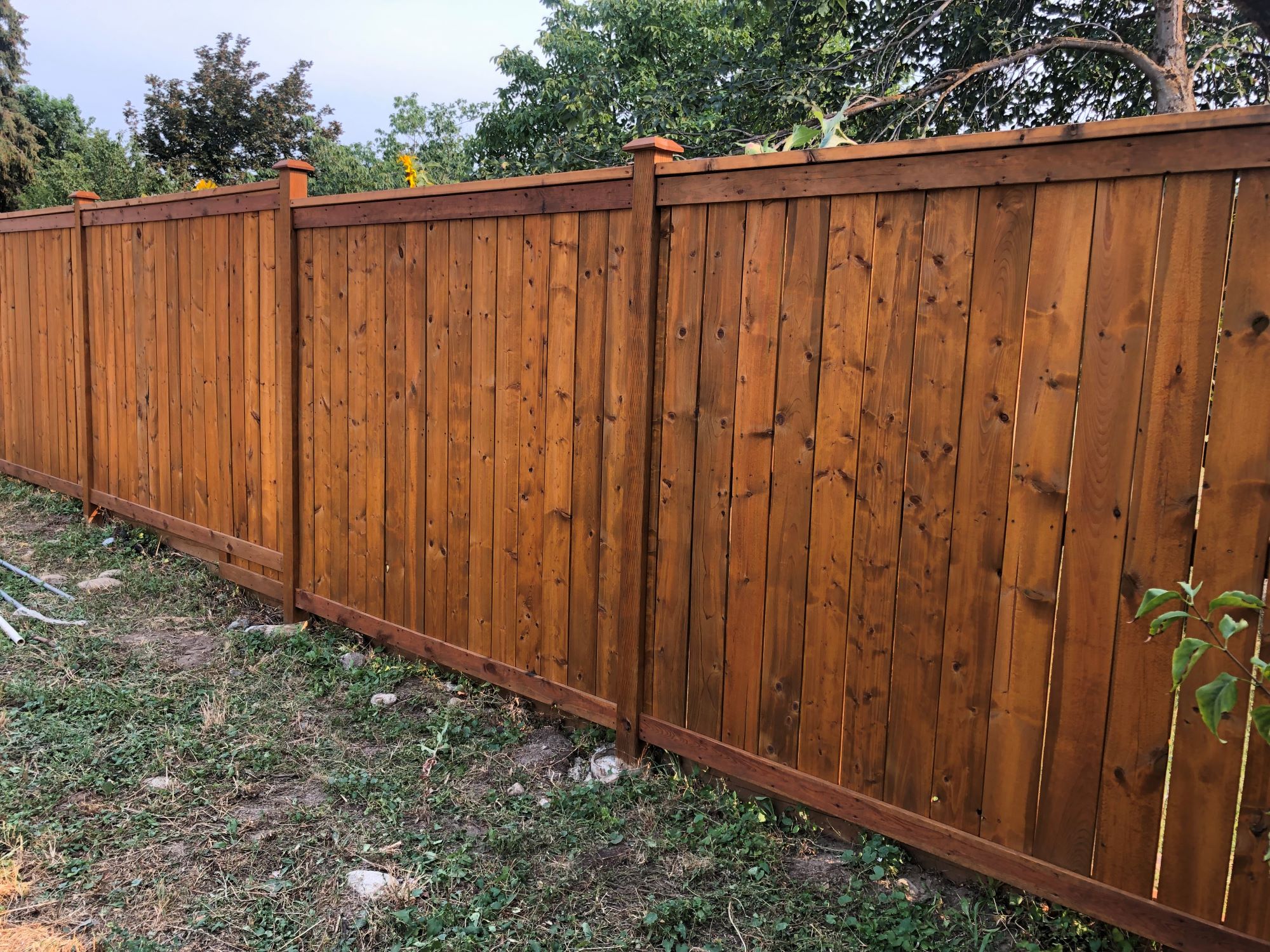 Fences Fences